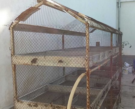 Клетка хайвонлар учун