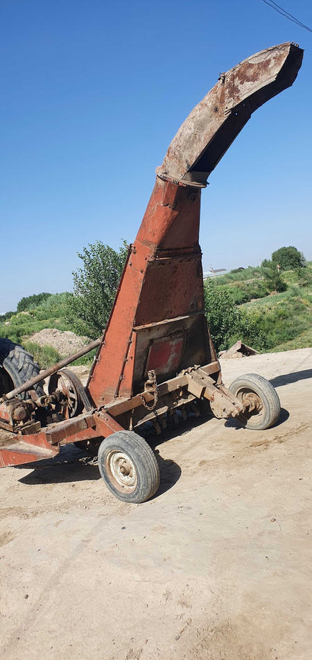 Kir paltara xolati zõr