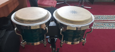 Bongo Natal firma..