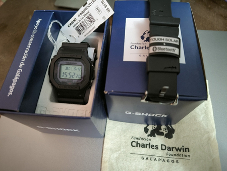 Casio G-Shock GA2100-4A