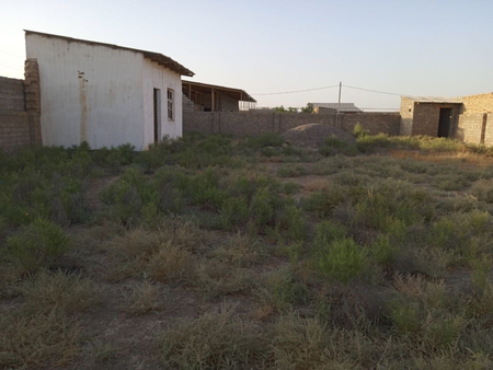 Qanaqa kafolat berish kerak