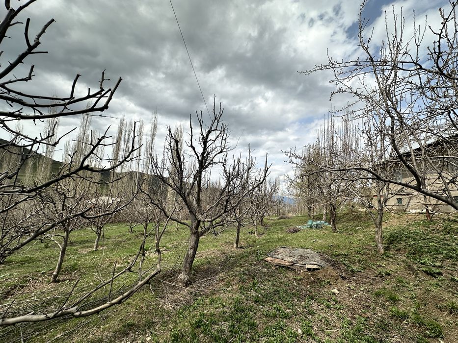 Продаётся Участок в чимгане