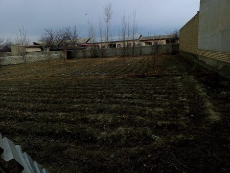Salom xamyurtlar