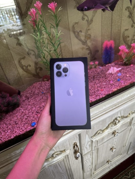 Iphone 13pro max
