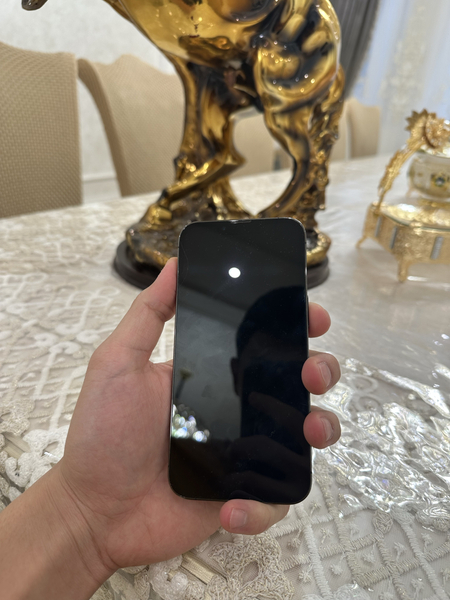 iPhone 13 Pro 256gb