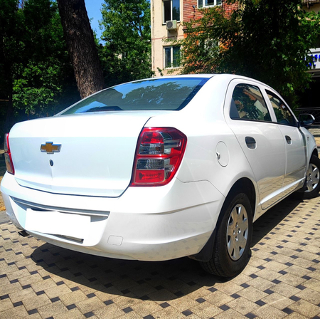 Cobalt LT 2019 IDEAL