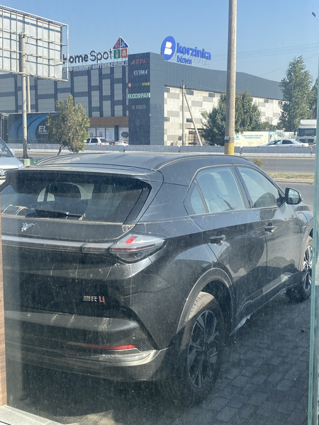 Neta Yu Pro 401 km