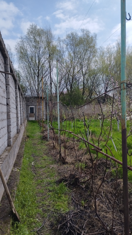 Кибрай,Бурота,6-сотих 15000 уе