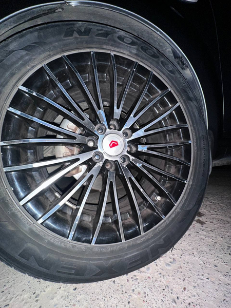 Saka diska      R16      vossen                           ,