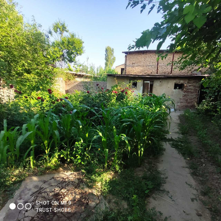 Dom dacha chirchiq
