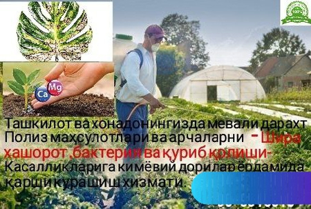 обработка ёлок кустарники,деревьев.обрезка формочки.