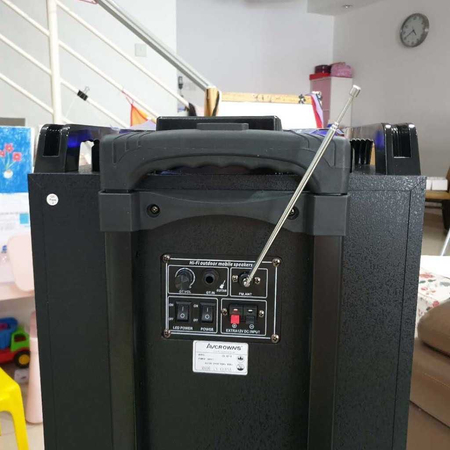 Kalonka Subwoofer Avcrowns CH6212 / караоке 150W [БЕСПЛАТНАЯ ДОСТАВКА]
