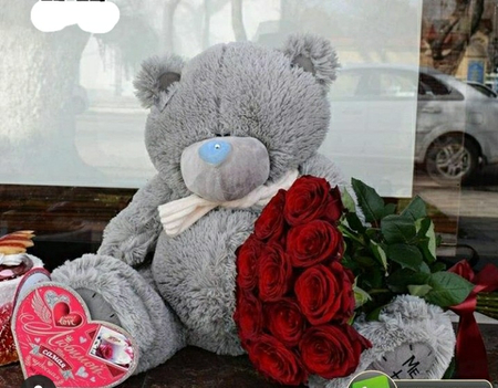 Teddi teddy teddiy yumshoq o'yinchoqlar