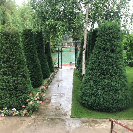 Archa kesamiz arzon narhlarda