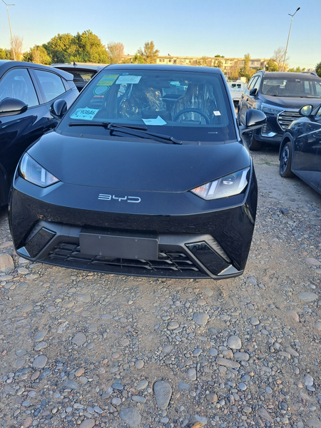 Byd seagul 2024 yil sotladi