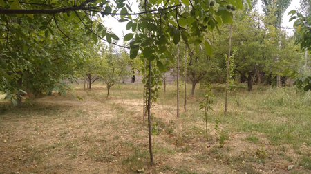 6 sotix er sotiladi dàkumenti bor dacha qyrishga toza xavo
