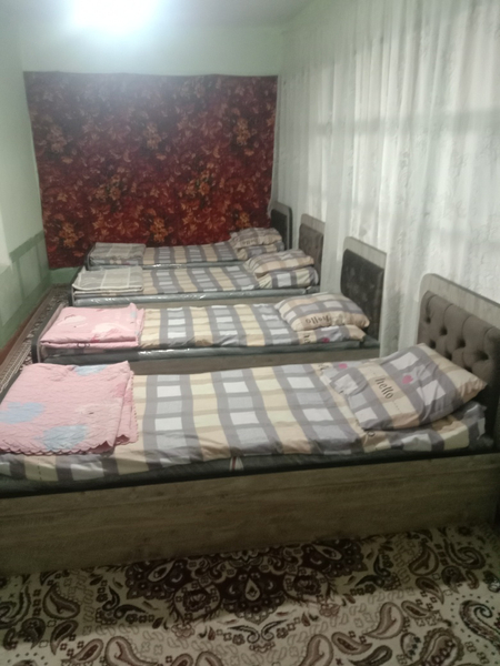 Arzon dacha bor xumsonda