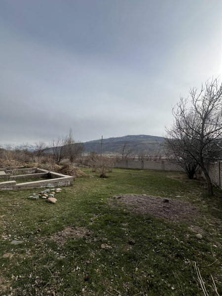 Gazalkentda Dacha uchun yer o’ralgan