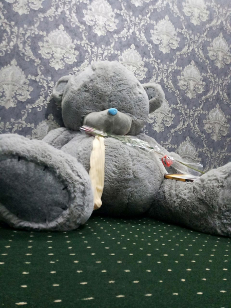 Katta TEDDY ayiqchasi. Uzunligi 1.5 metr