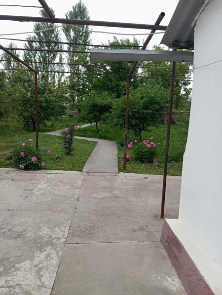 Бука савхозда уй сотилади.15 соток..