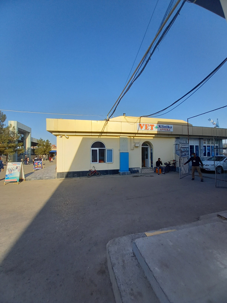 Вет услугы и аптека зоомагазин