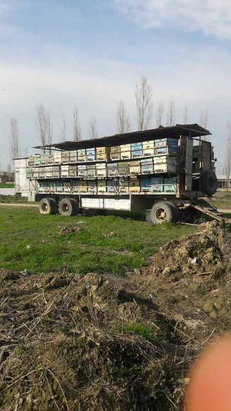 Пчеприцеп усиленный