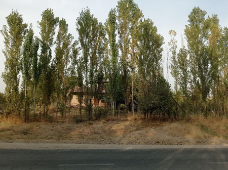 Uchastka sotiladi 8 sotix 2 xonali uyi bor dakumentlari joyida