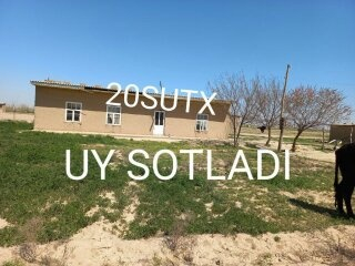 Uy sotiladi 20 sutik dakumenti joyida kuk dala tumani uzida.