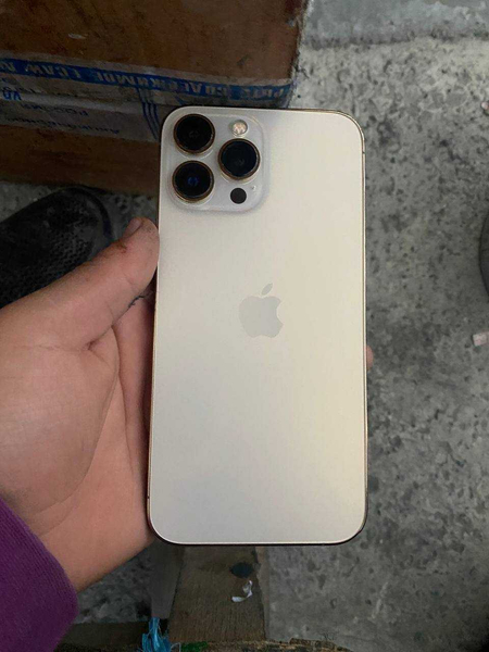 iPhone 13 PRO MAX