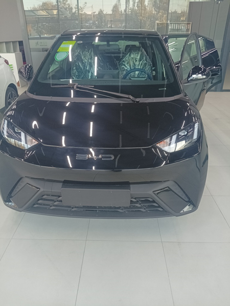 Byd seagull 405 km full 16.500$
