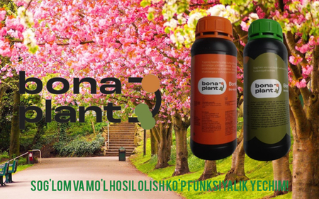 Bio simulyator.O'simlikni tez va sog'lom o'stiruvchi modda#bona pleant
