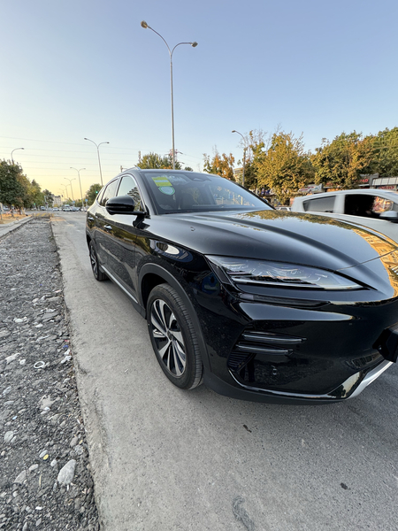 Byd champion srochna sotiladi 2024 yil