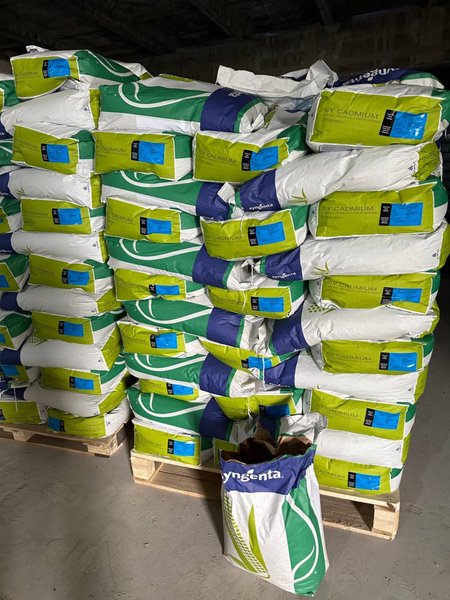 Семена кукурузы Syngenta, Syngentaning makkajo'xori urug'lari