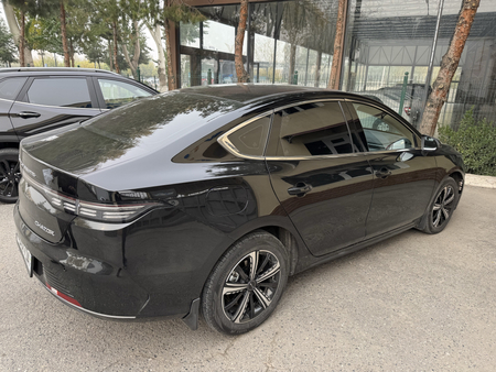 BYD chazor flagship