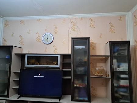 Горка в гостиную