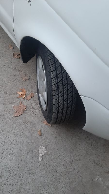 Matiz arendaga berama