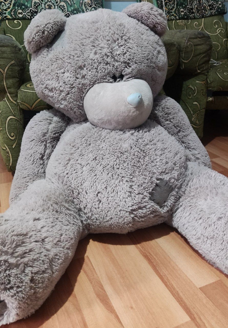 Teddy  ayig'i sotiladi