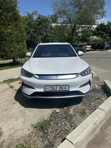 RENT A CAR! Byd Song Plus! Champion