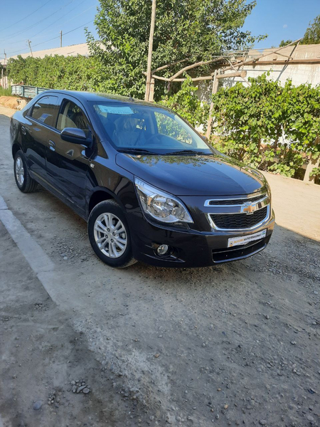 Pachka cobalt 2024