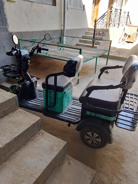 Skutr elektroni zor