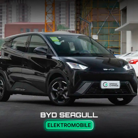 BYD Seagul full 2024 tayyor наличии