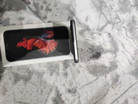 iphone 6s 16g usta kormagan