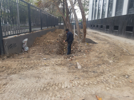 Asfalt qilish xizmati Latok bardiyor xizmati ham bor murojaat uchun
