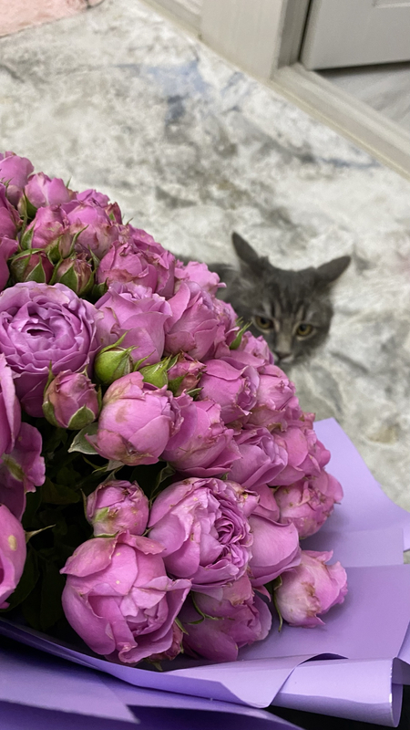 сотилади срочни