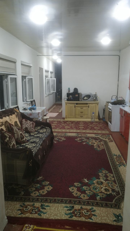 Kirip olmozor koʻchada
