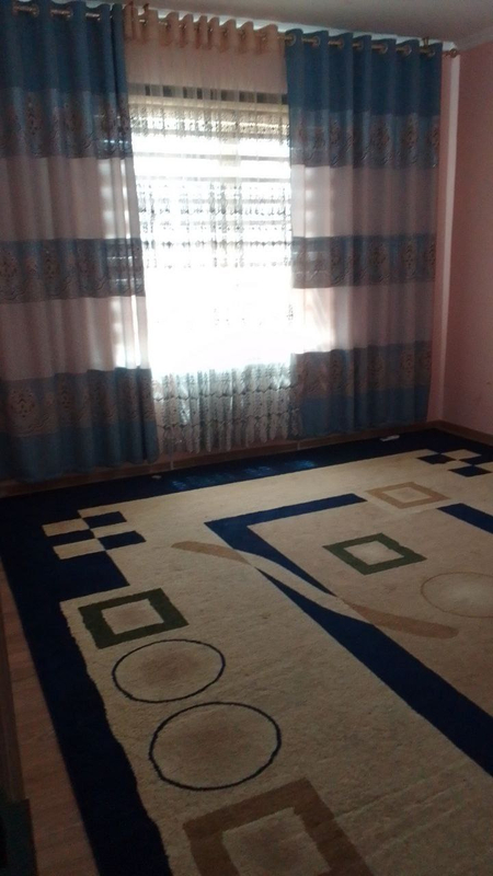 Motrid ijaraga beriladi