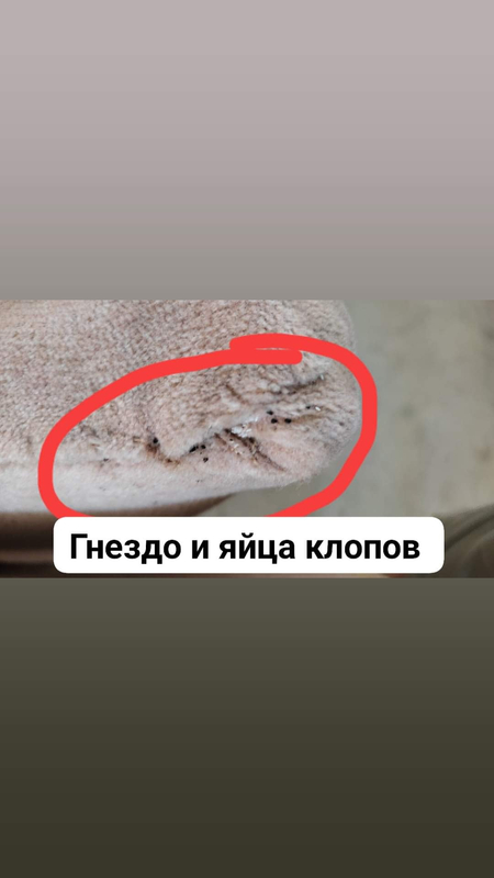 Уничтожение насекомых и грызунов!
