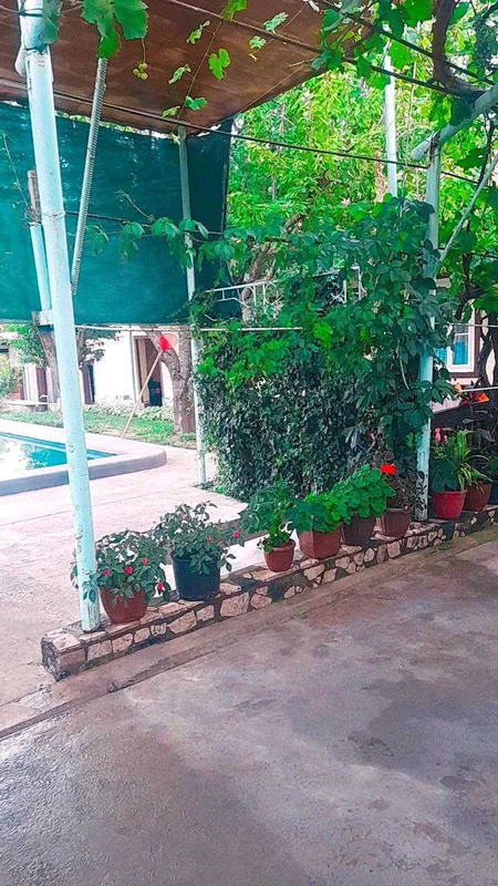 Chorvoq dacha 80$ vositachilarsiz o'zimni dacham