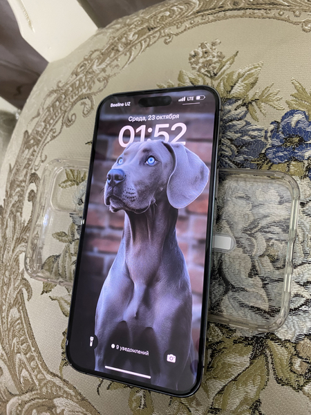Iphone 15 pro max 256 gb