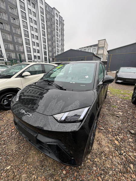 Byd seagull seagull cip tashkent  15 kunda zakas